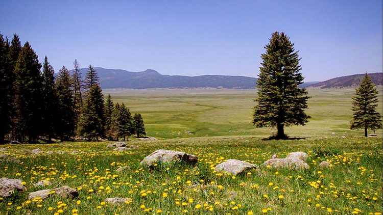 Five Great Things to do in Northern New Mexico - NewMexi.Co